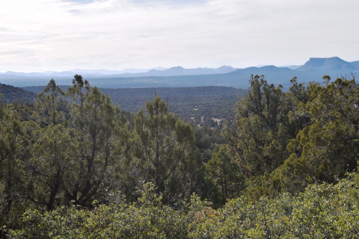Lots 807 and 808, 111 Acres in Sierra Verde Ranch – SeligmanAZ.us